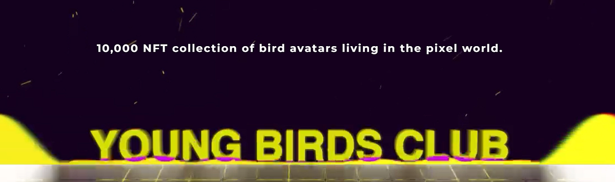YBC Introduction — 1. What is Young Birds Club? | by Young Birds Club ...