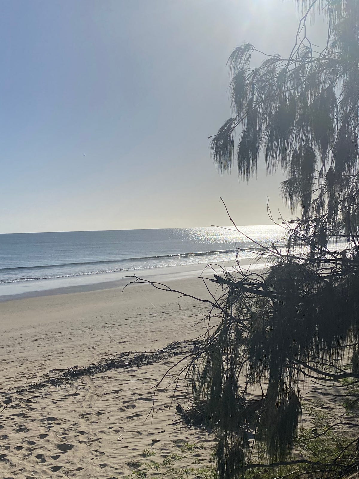 Don’t turn your back on the ocean! - The Daily Cuppa - Medium