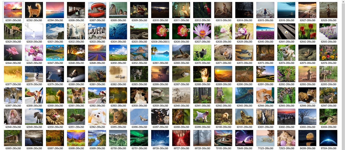 How to Scrape Images from Socwall using ScrapeStorm | by ScrapingCat | Medium