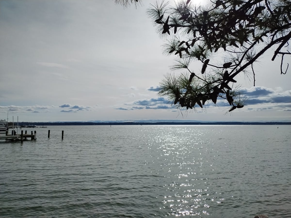 Haiku for March 2024. Did you you hear that? | by K R Smith | Medium