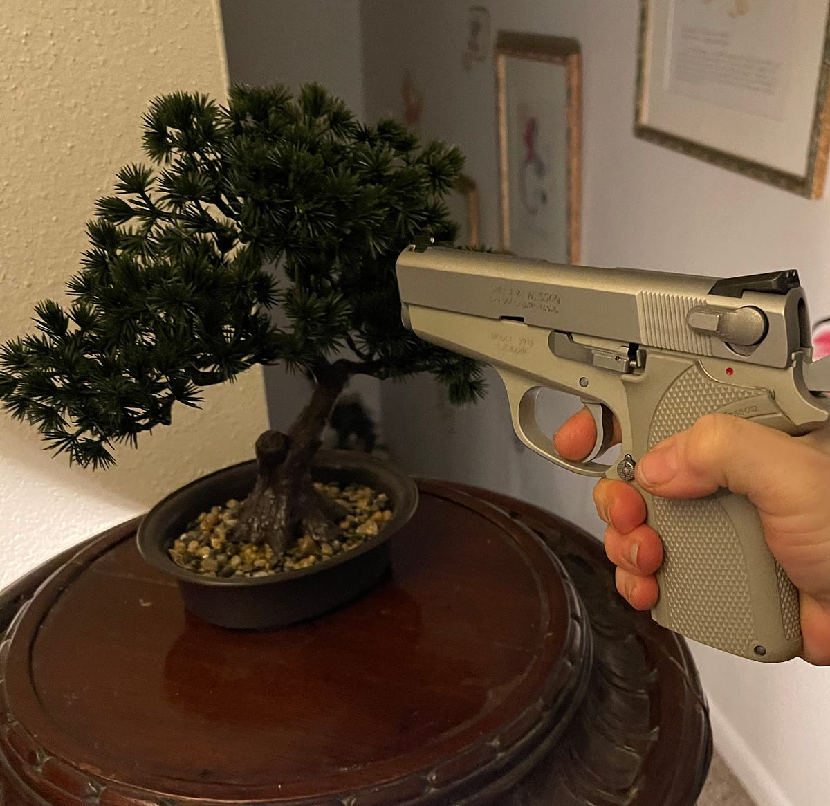Apparently, I’m an Unrepentant Plant Murderer | by Rachel A Fefer | Medium