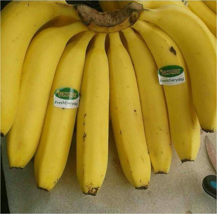 Bibit Pisang Cavendish Asli Terlaris Banjarnegara | by pradipa bibit | Medium