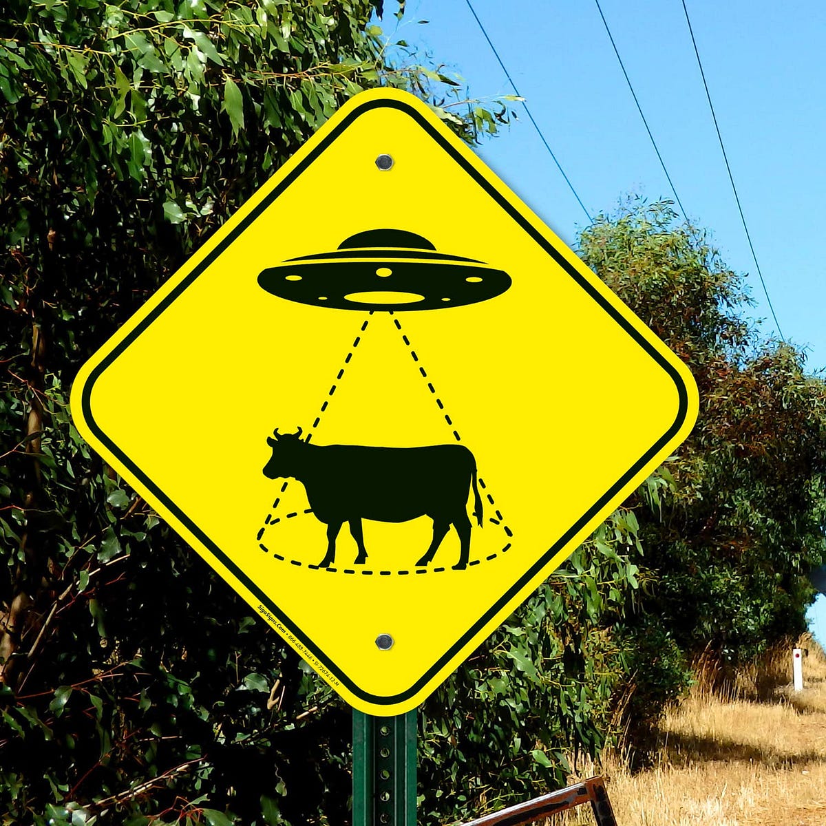 UFO-Related Animal and Human Mutilations: The Shocking Facts | by ...