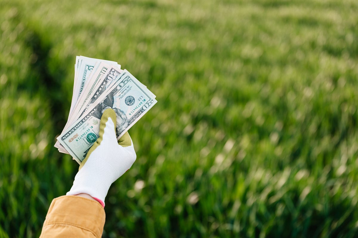 Project Serenity Review: Unveiling the Future of e-Farming | by Thieti ...