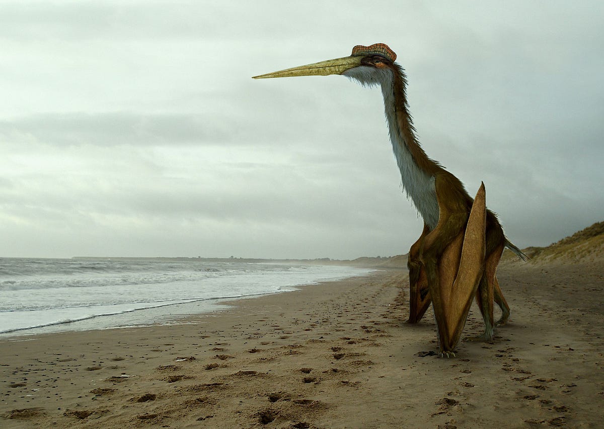 The Gigantic Quetzalcoatlus: History’s Largest Flying Being | by Dark ...