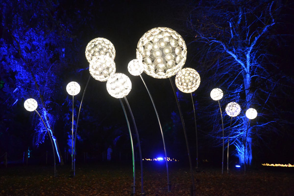 Britain’s Best Light Show With Christmas Stories | by Susie Kearley ...