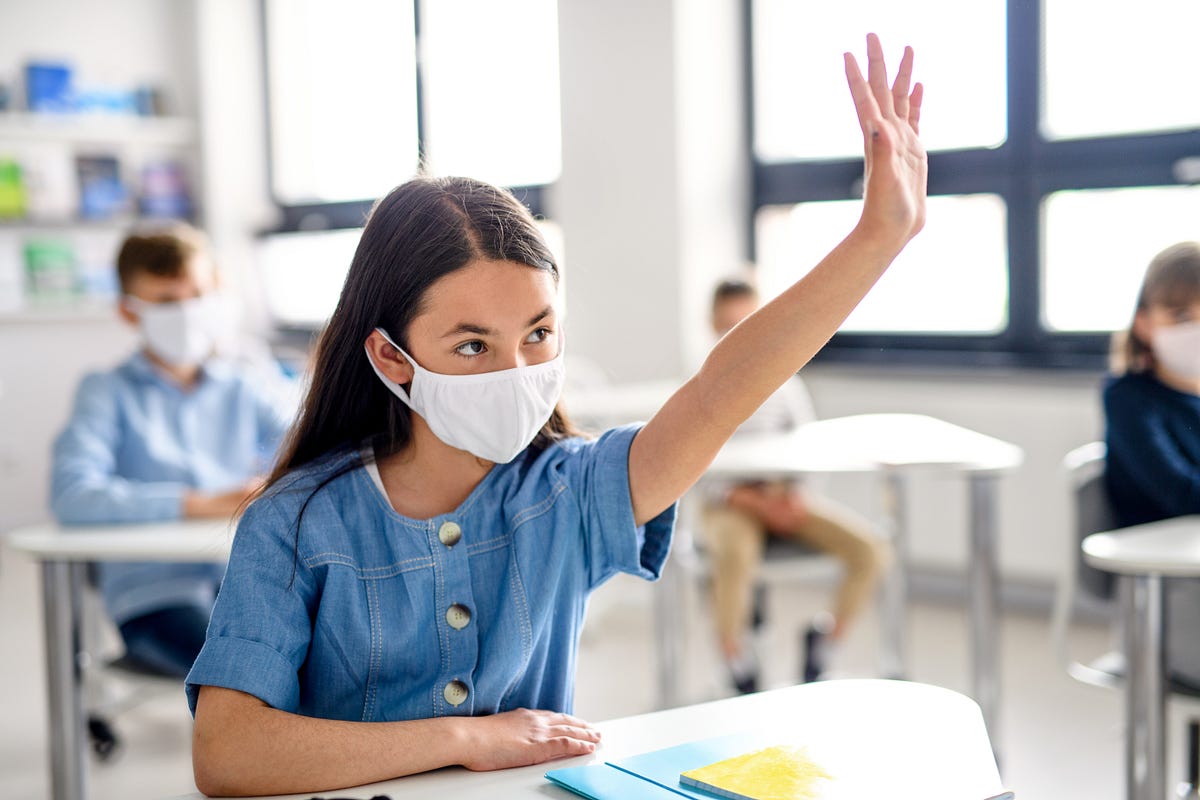 How to Encourage Active Citizenship During an Election and Pandemic ...