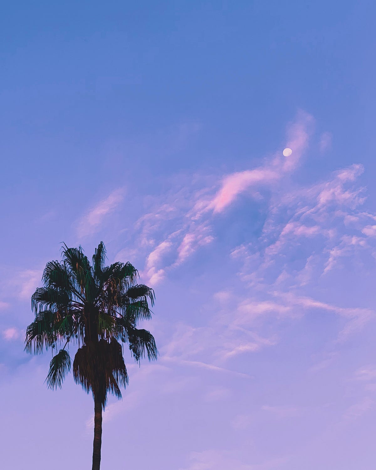 a tiny love letter to eclipse season. | by Love Letters and Mixtapes ...