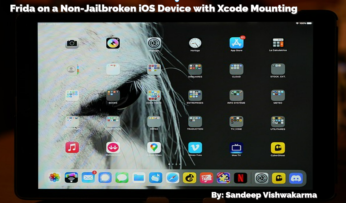 Frida on Non-Jailbroken iOS Device with Xcode Mounting | by Sandeep Vishwakarma | OSINT Team