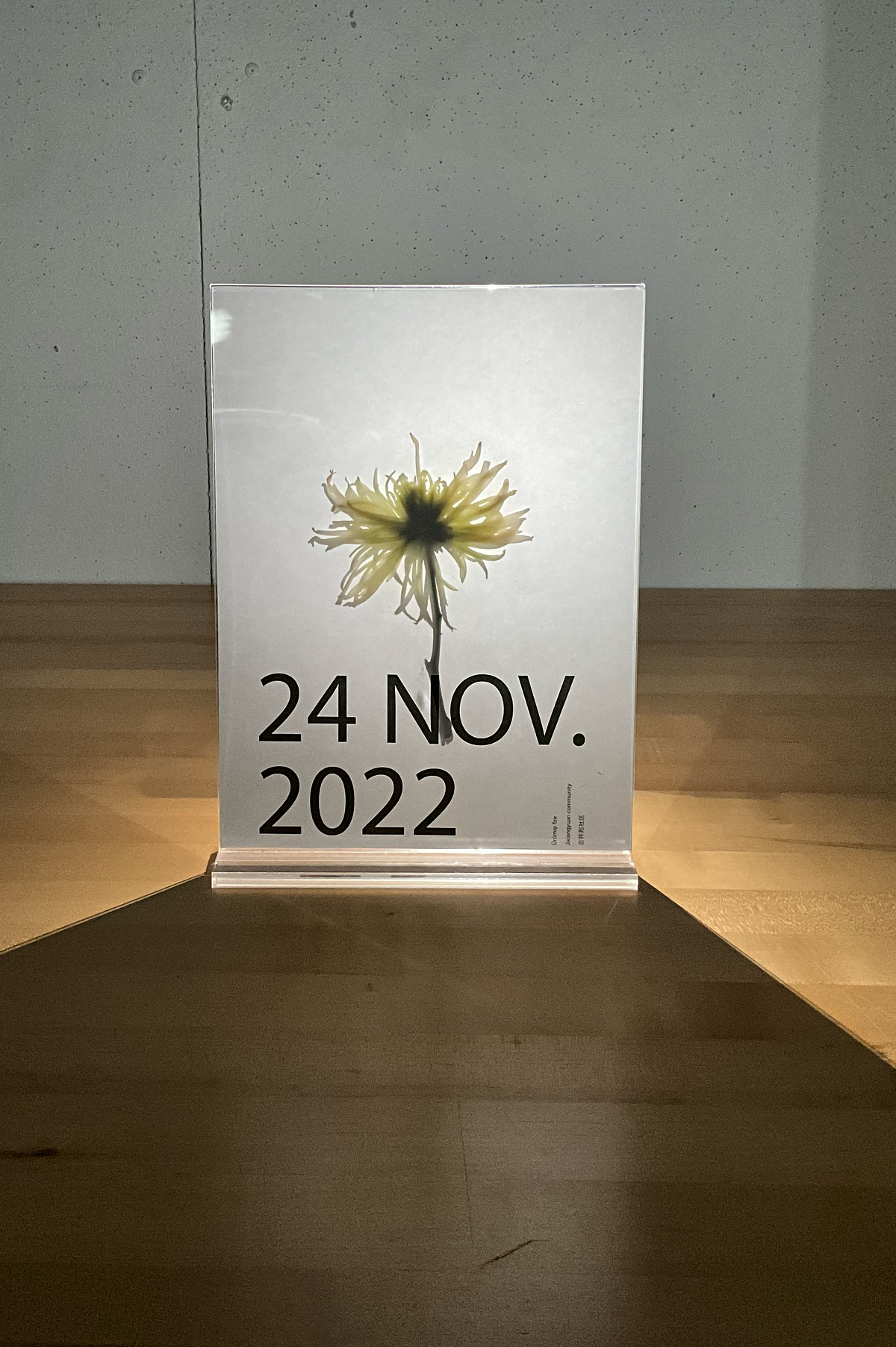 Liminality + Transition. The last project of 1st year MFA… | by ...
