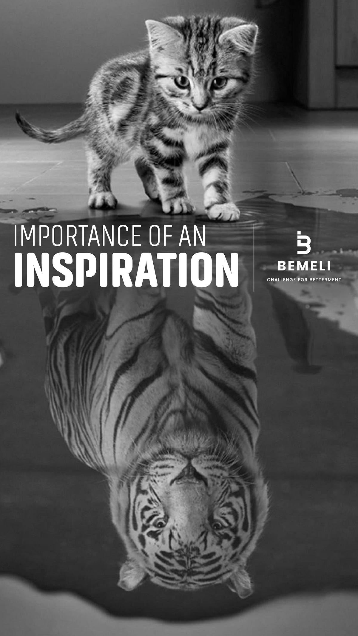 Importance of an Inspiration | BEMELI - Bemeliappdigital - Medium