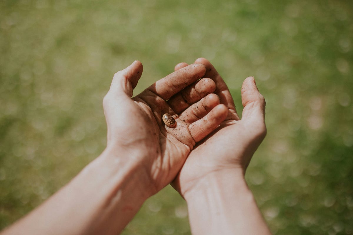 Your Past Impacts Your Future — Here’s Why It’s Important | by Tyler Bridges | Medium