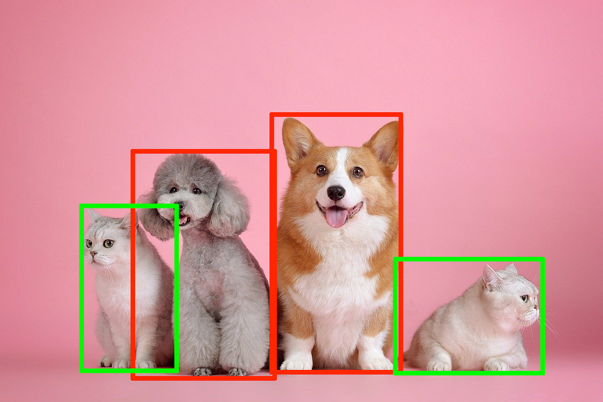 使用 PyTorch 提供的預訓練模型 (Pretrained Model) 做物件偵測 (Object Detection) - rowan ...