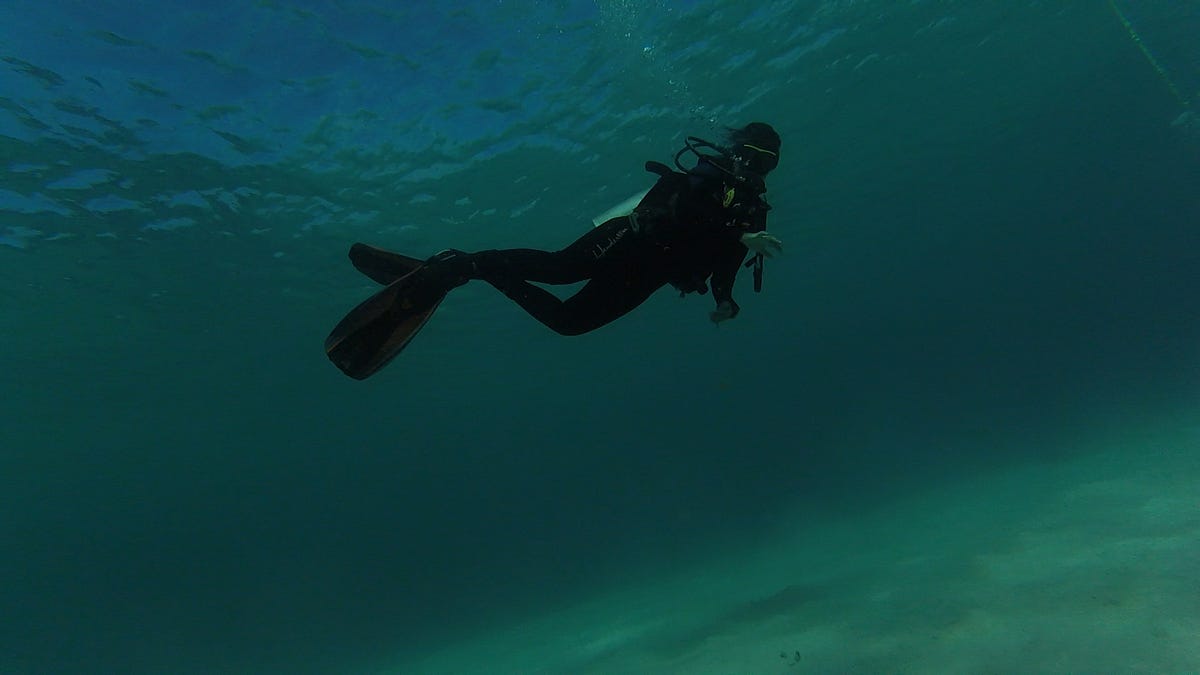 Diving Deep: Leadership Lessons from 100 Feet | by Nidhi Khanna | Medium