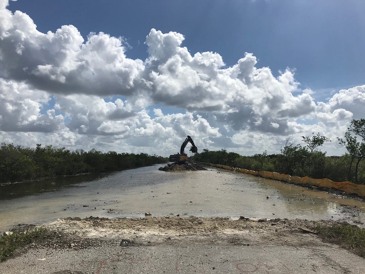 Old Tamiami Trail Road Removal. On April 7, we celebrated what would ...