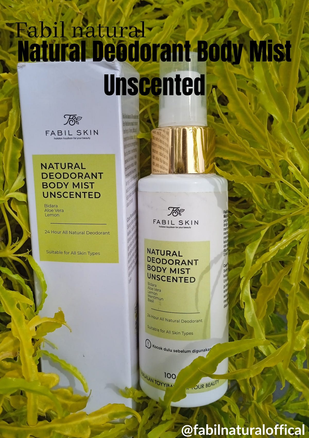 SERBU MURAH, WA/Call 0878–8544–9886, Deodorant Body Spray Deodorant ...