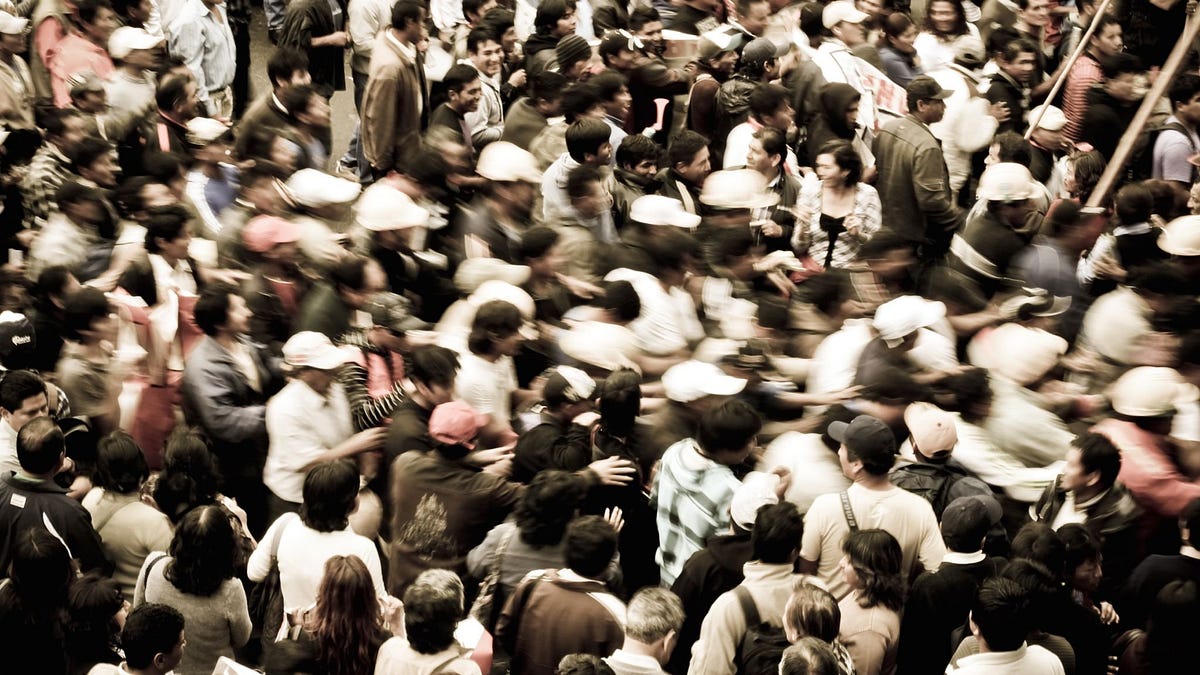 The Madness of the Crowd: How the Bandwagon Effect Shapes a ...