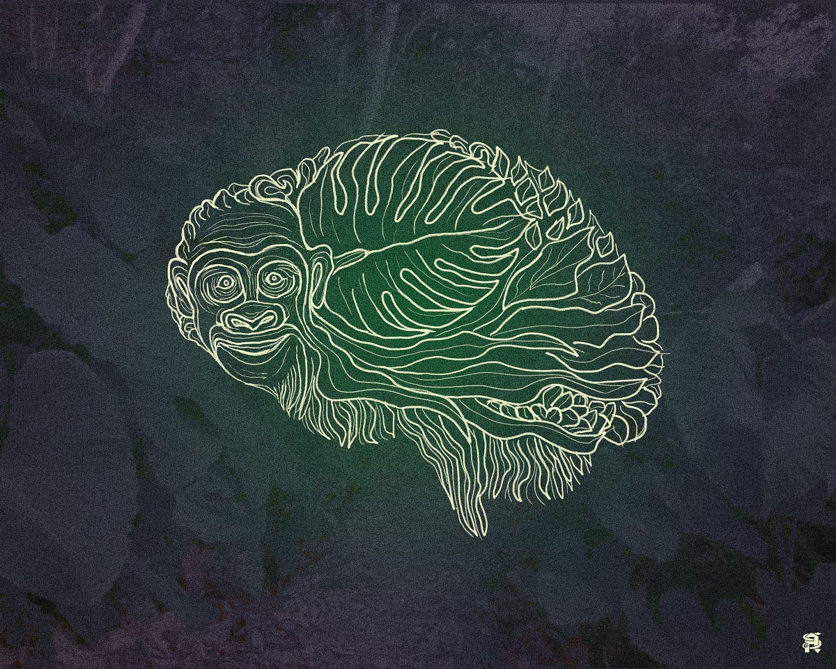 Why Your Mind Goes Blank When You Need It Most | by Joan Merlo | Sacred ...