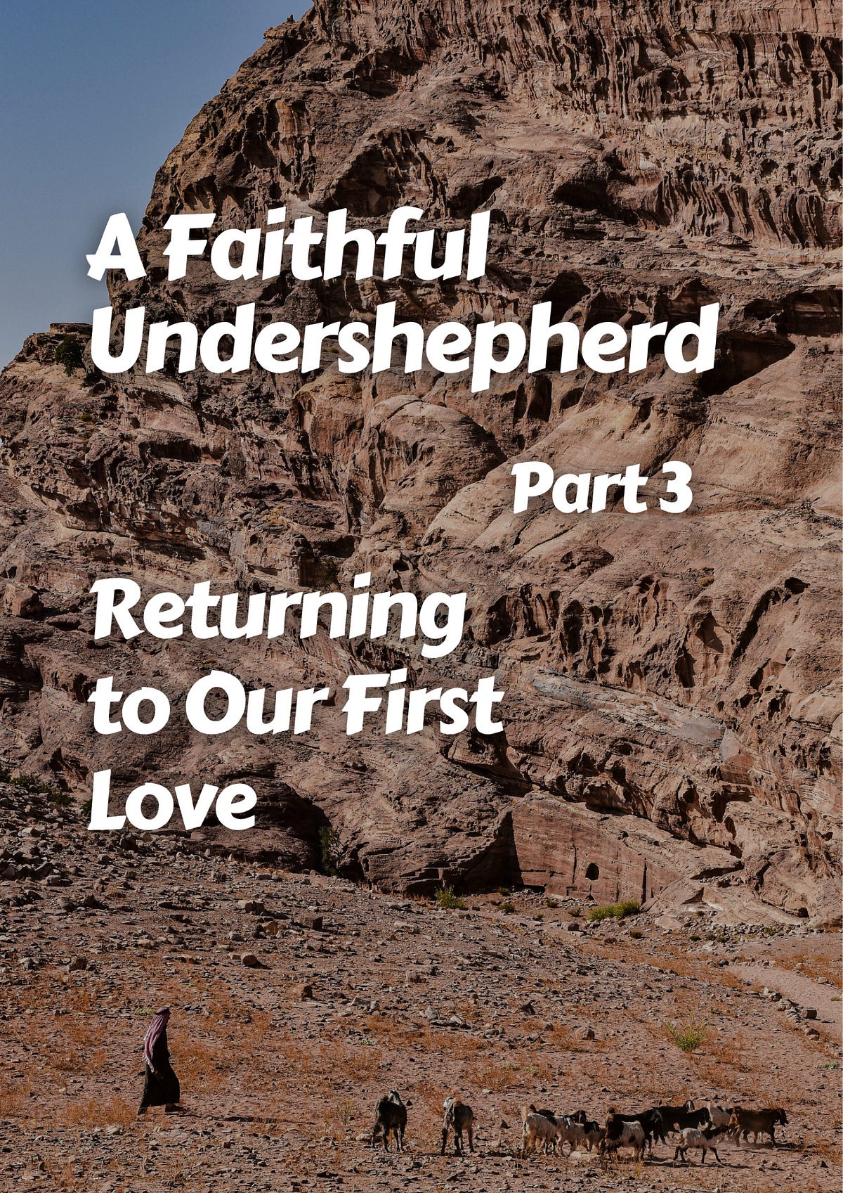 A Faithful Undershepherd – Part 3 | by Richard Daniel | Aug, 2024 | Medium
