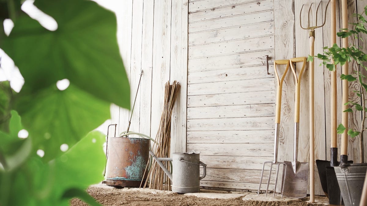 How to Create a Seasonal Garden that Flourishes, According to Experts ...