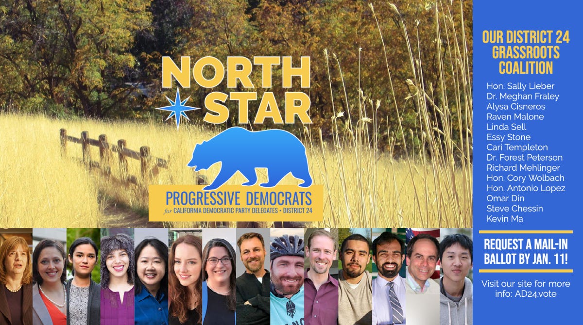 Elect Progressives to the California Democratic Party | by Cari ...