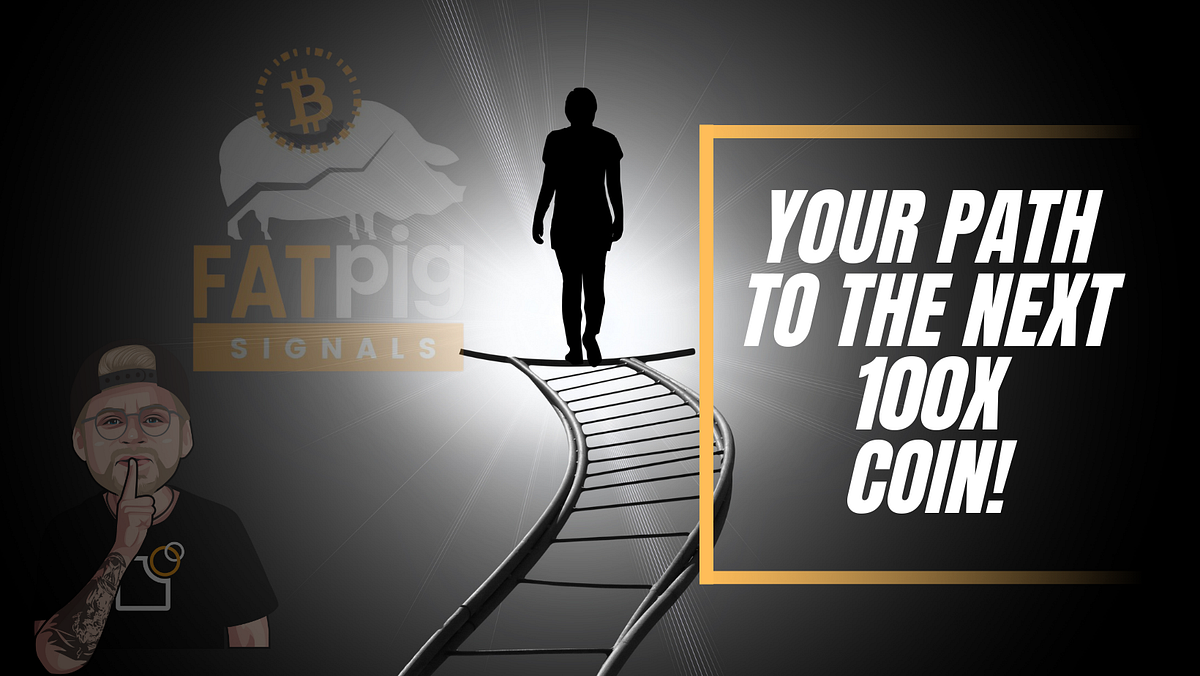 How You Find The Next 100x Coin! Your Path to Success! | by TheLuWizz ...