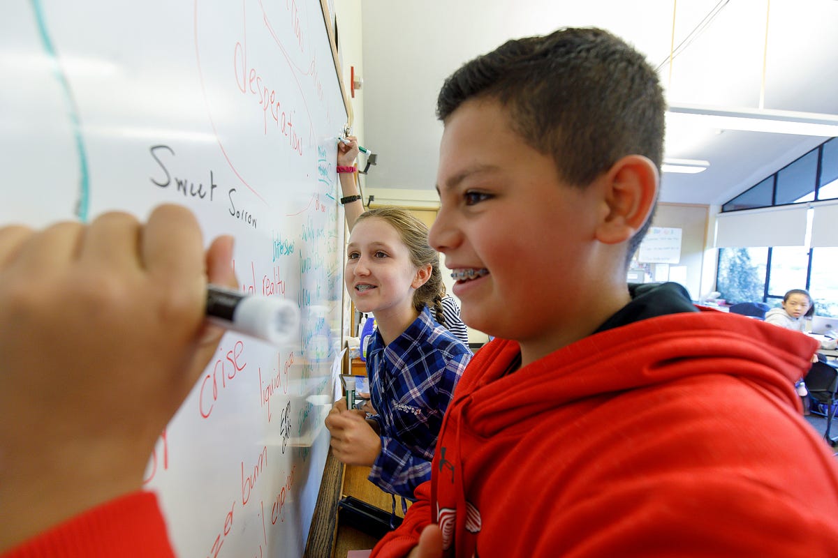 The Middle School Brain: Why Pleasure is a Better Motivator than Pain ...