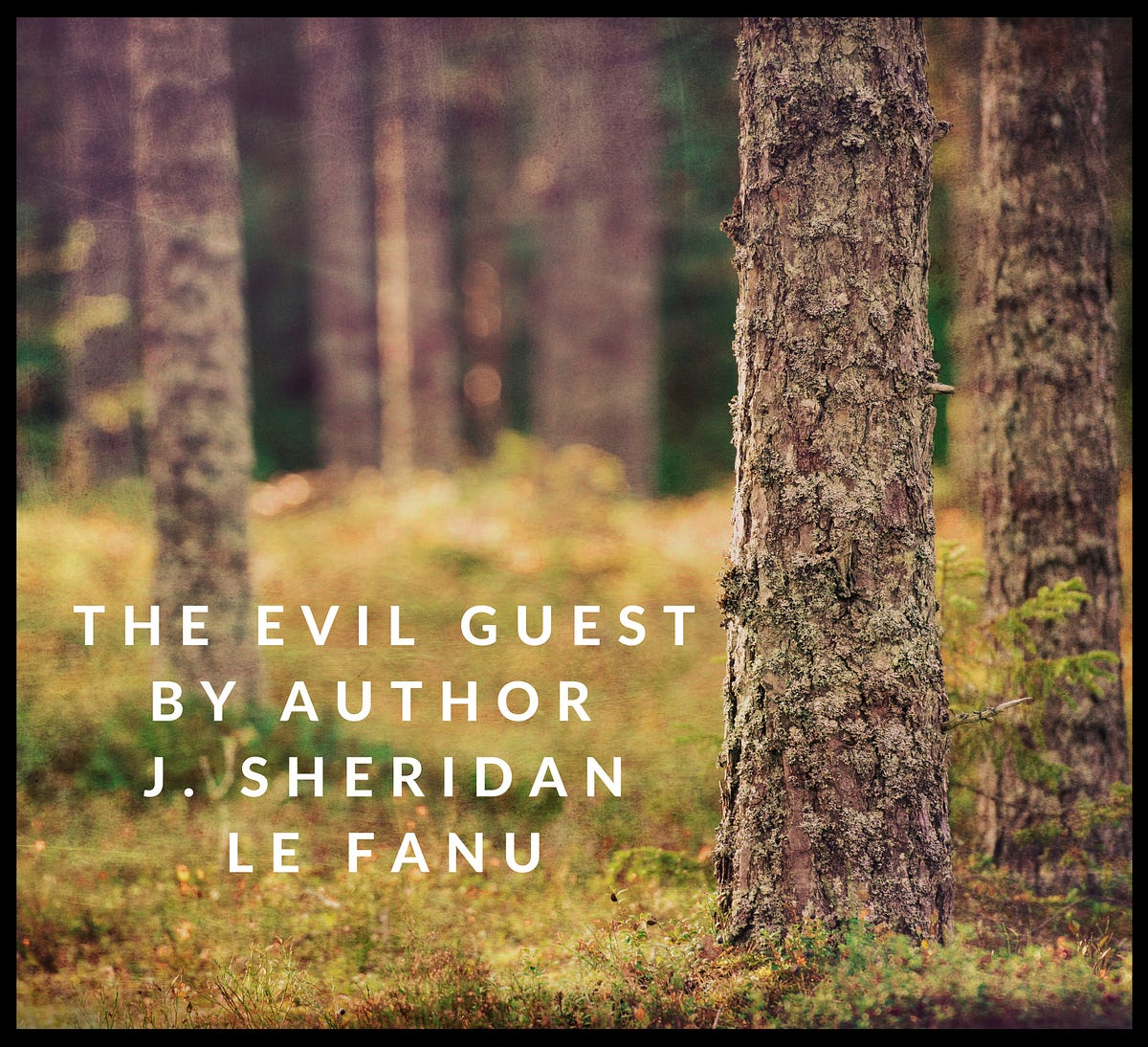 Book: The evil guest by J. Sheridan Le Fanu, is a weekend read that ...