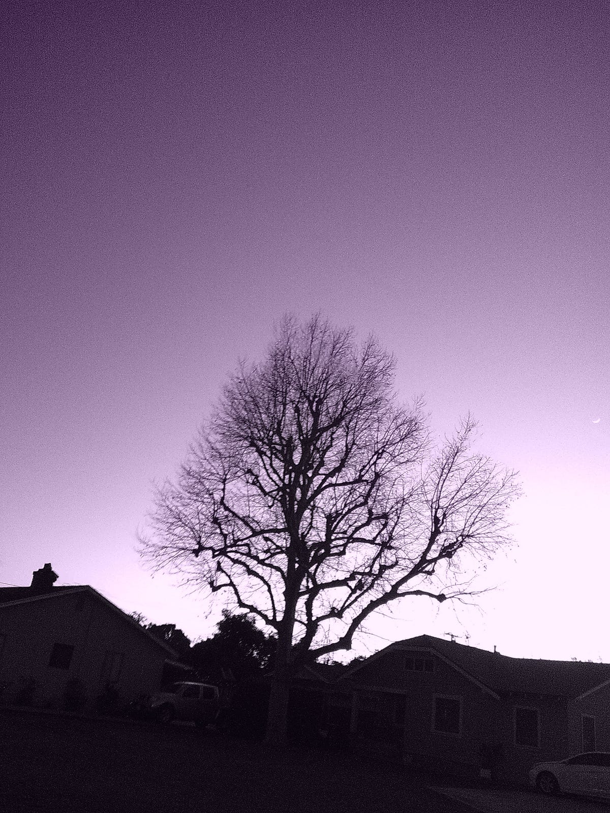 Good Morning, Good Mourning. On The Inadequacy of Language and the ...