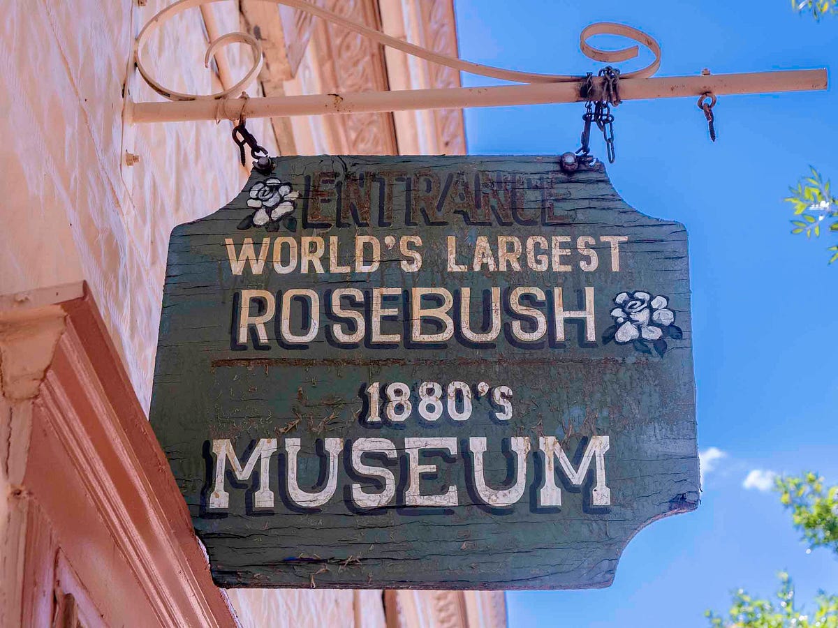 This Tombstone Museum Was Born From a Small Scottish Rose Clipping | by ...