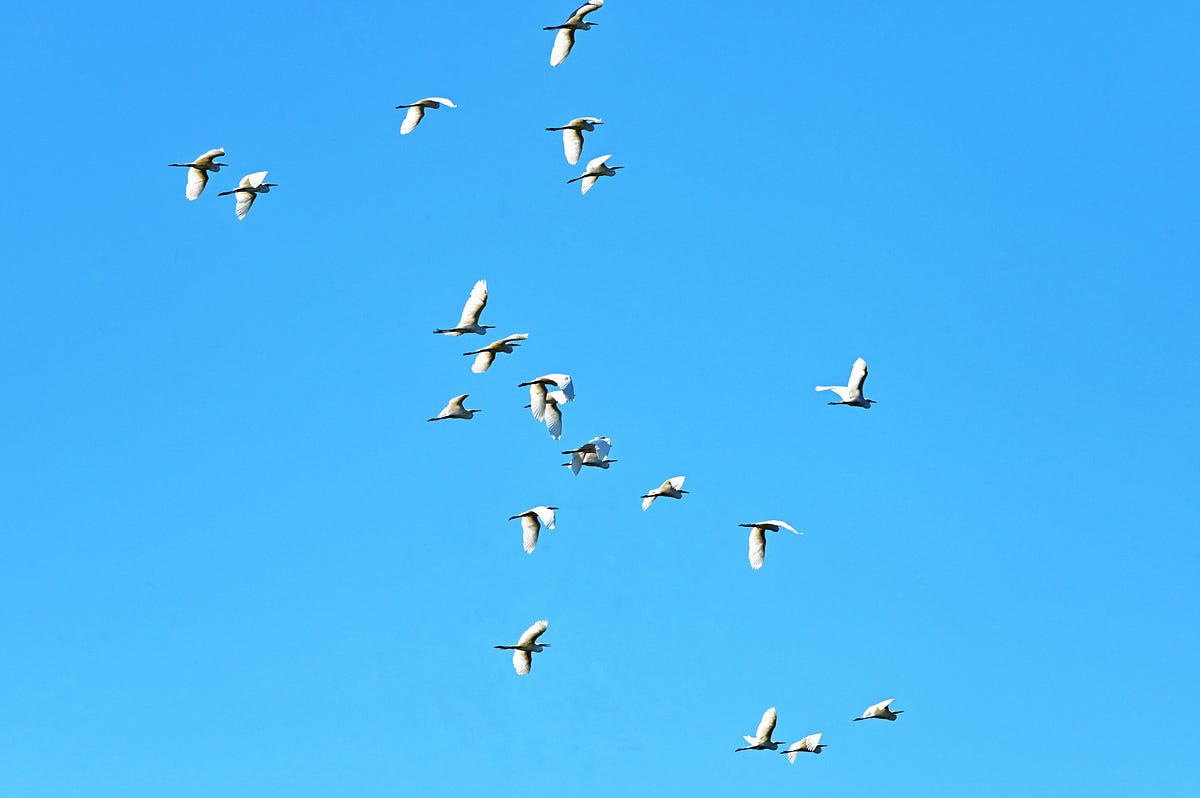 Openjdk Migration To Java 21 Some New Stories Of Jdk 21 By Varada M