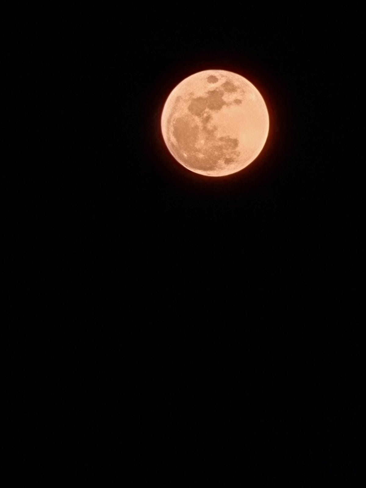 The moon I never told you about The night falls through all the sighs ...