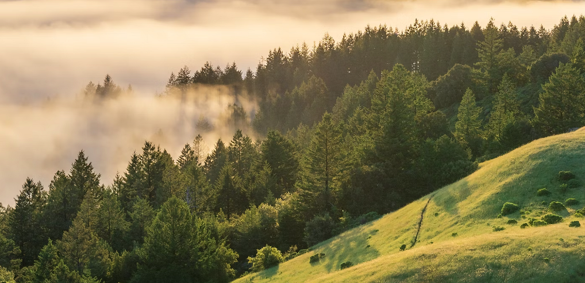 Unlock the Power of SRS: Real-World Use Cases and Boosting Your ...