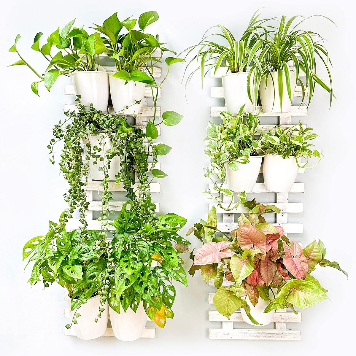Elevate Your Greenery: Top 5 Unique Wall Planters for Your Indoor ...