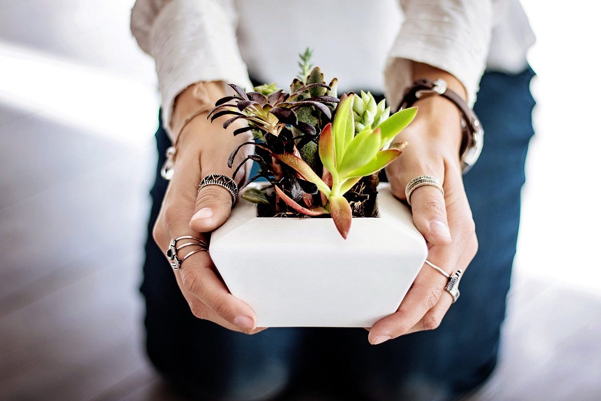 Sober Sunday Challenge: Kindness Without Credit (Week 4) | by Sober-ish ...
