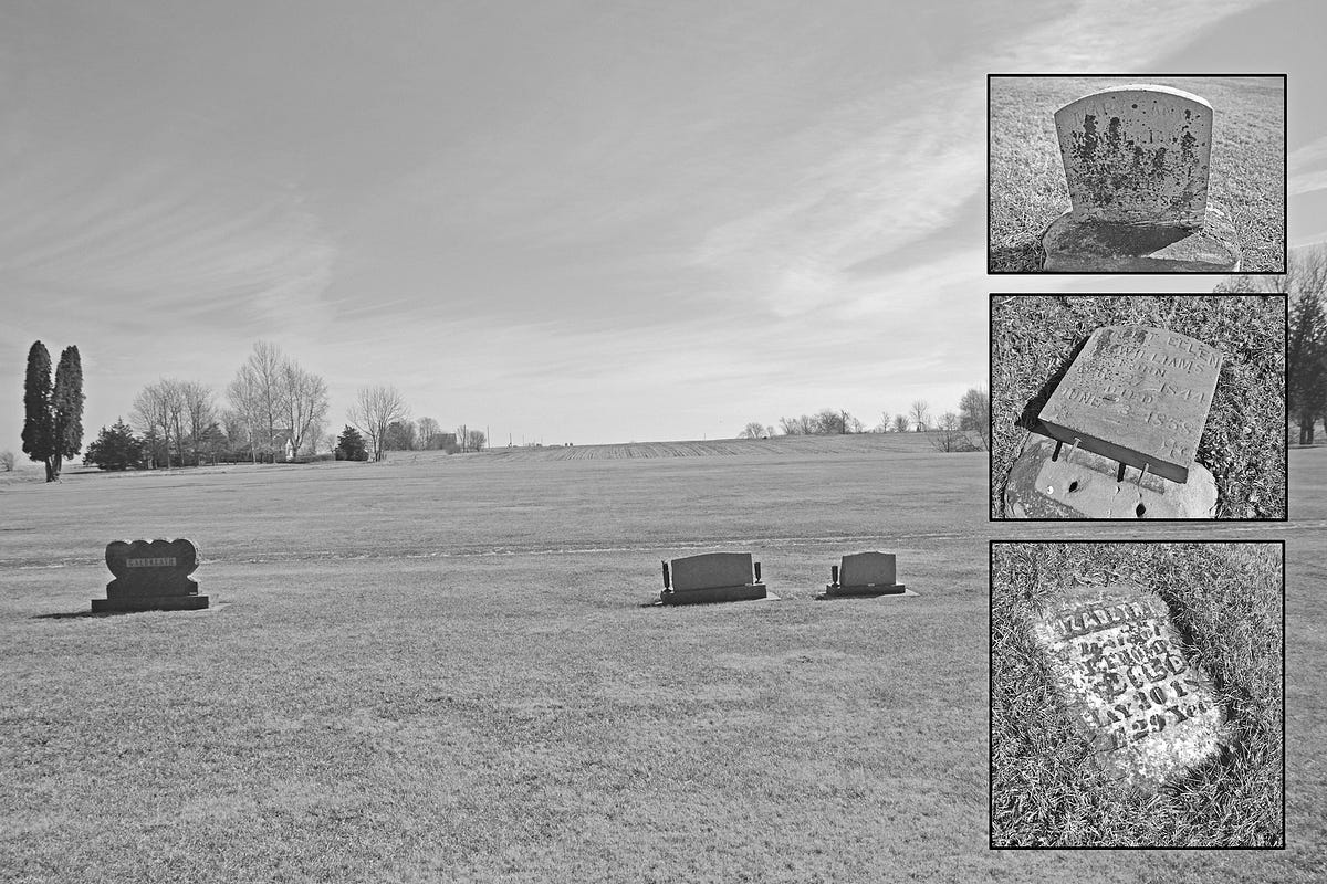 Gone with the Wind: Death and Destruction in Ellison | by Jeff Rankin ...