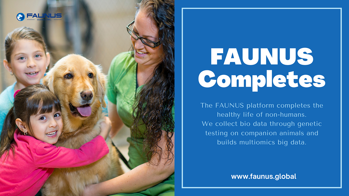 FAUNUS Completes - FAUNUS Global - Medium