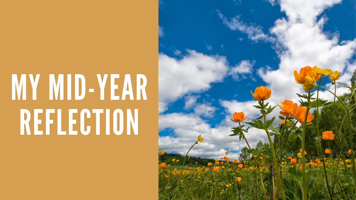 My Mid-Year Reflections. At the halfway point of 2023, it’s time… | by ...