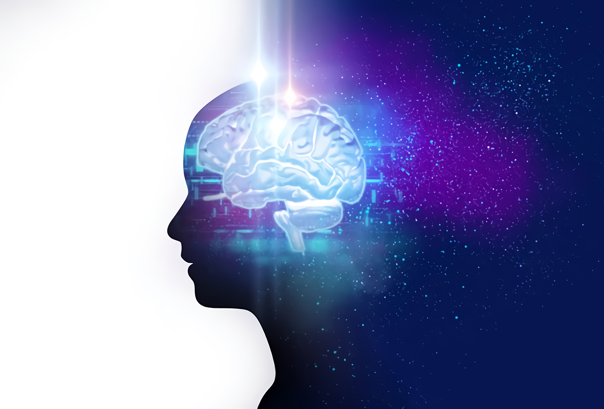 How to learn neuroscience: An introductory guide | by Daichi Konno | Medium