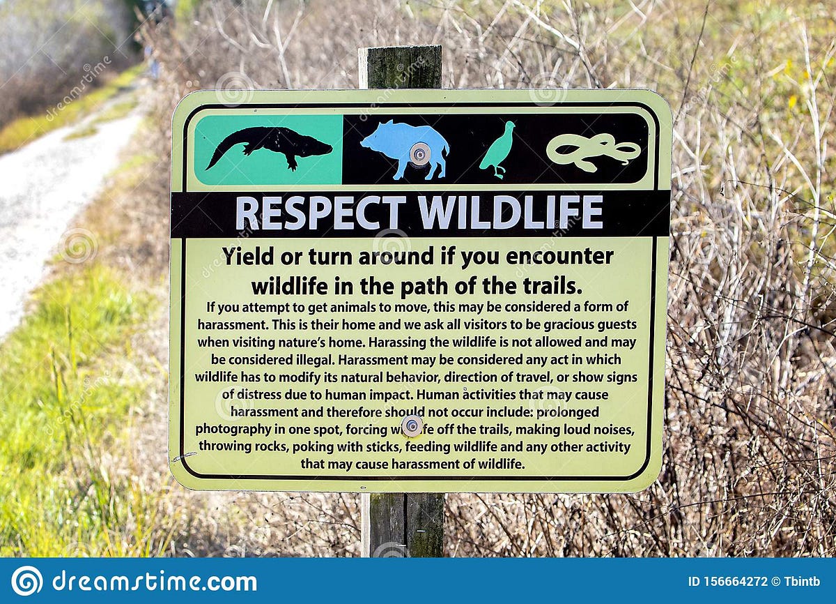 Let the Wild be Wild. Many animals cannot and should not be… | by ...