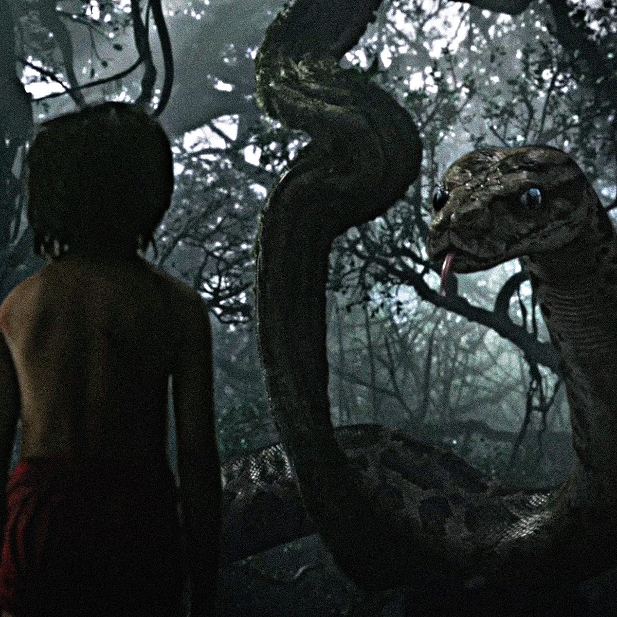 6 Deadly Snakes with the highest Human fatalities 🐍💀 | by Alan S. | Medium