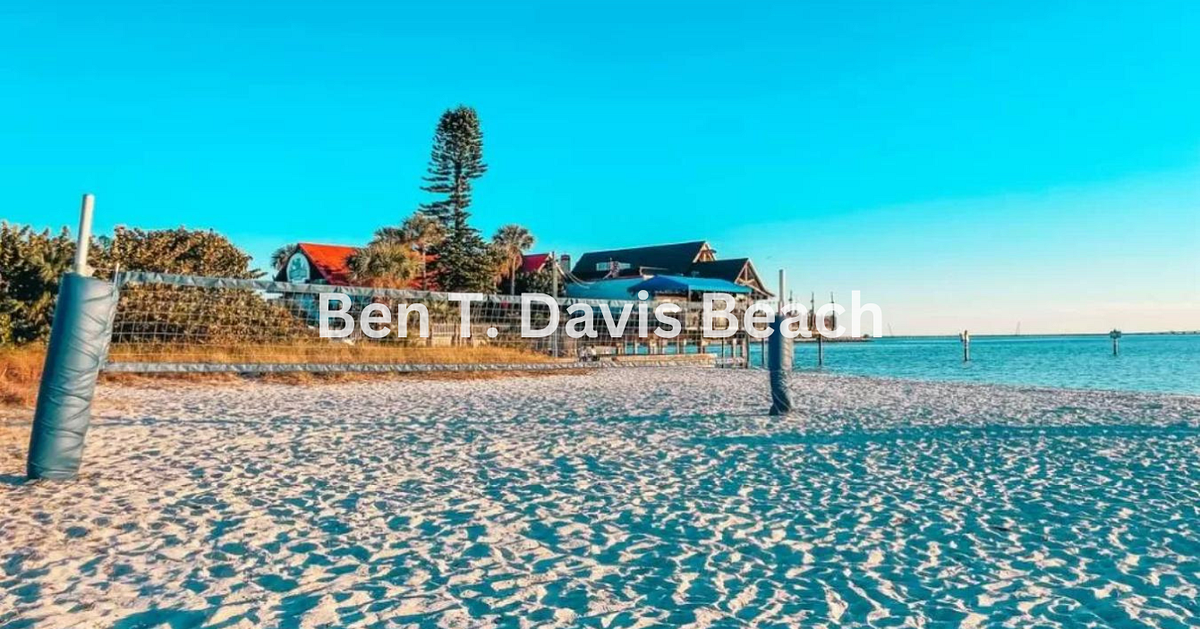 Things to Do As a University of Tampa (UT) And (USF) Student: Sun, Sand ...