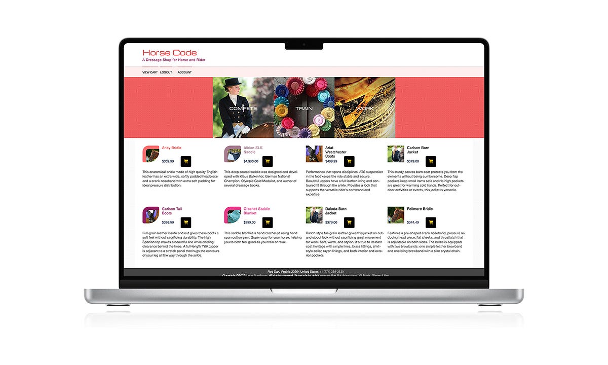 Angular Version 21 eStore + Shopping Cart Prototype | by Lynn Stanikmas ...