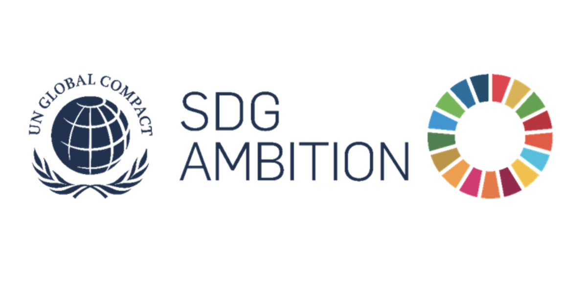Launching the Decade of Action for the Sustainable Development Goals in ...