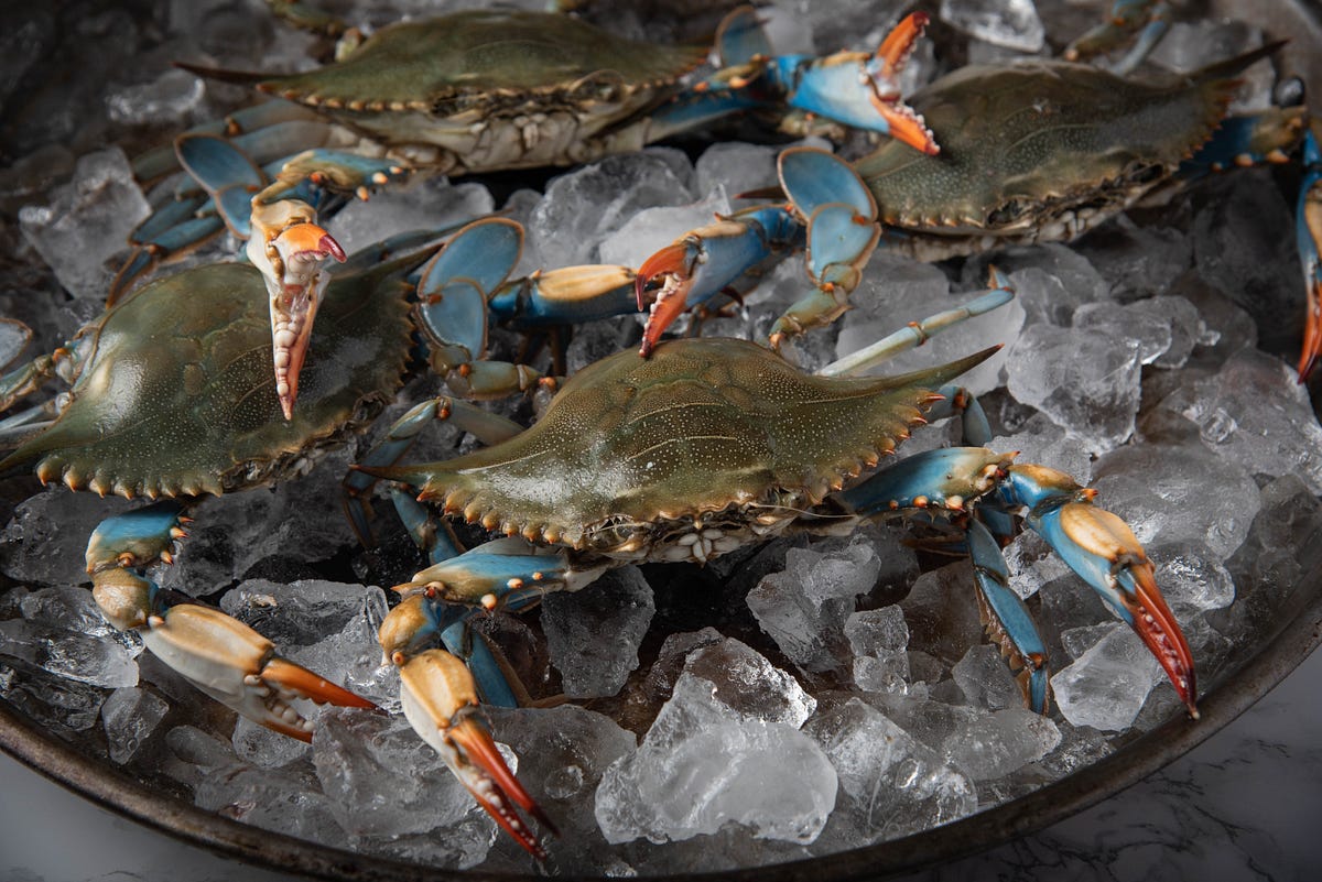 What I Learned About Surgical Decision-Making Eating Blue-Clawed Crabs ...