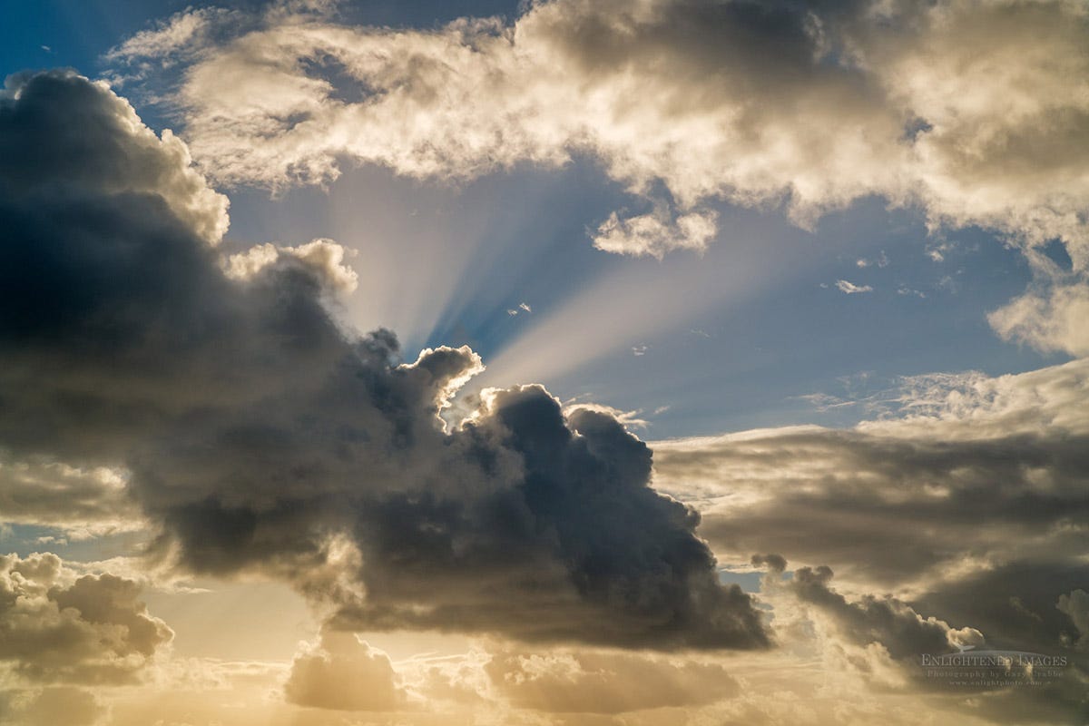 The Elevator Lady. Did you know… that there is a… | by Amy J. Considine ...