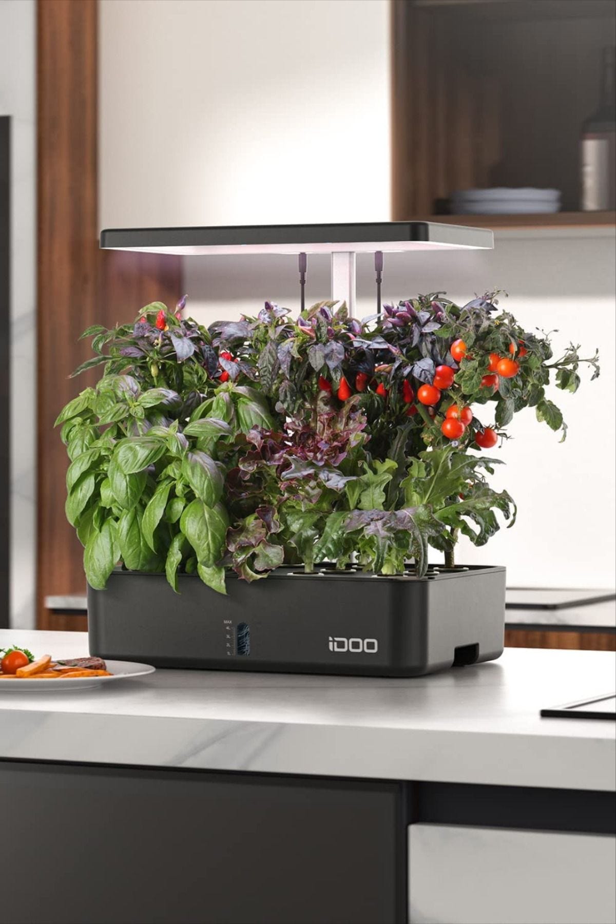 Exploring the Best Hydroponic Systems Available on Amazon | by Urban ...
