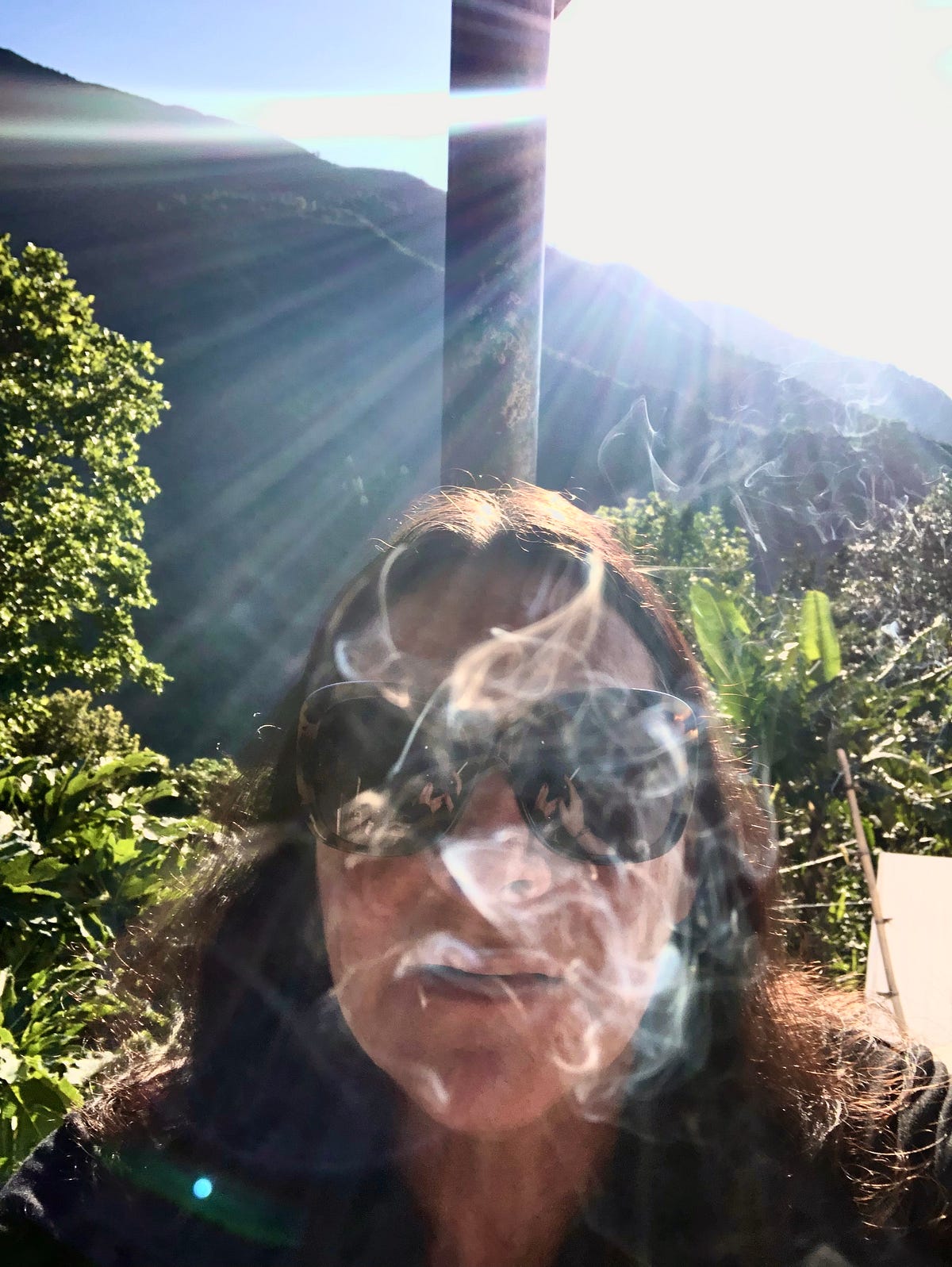 When I’m 64. Confessions of a 63 year old pot head | by Julie Dominick ...