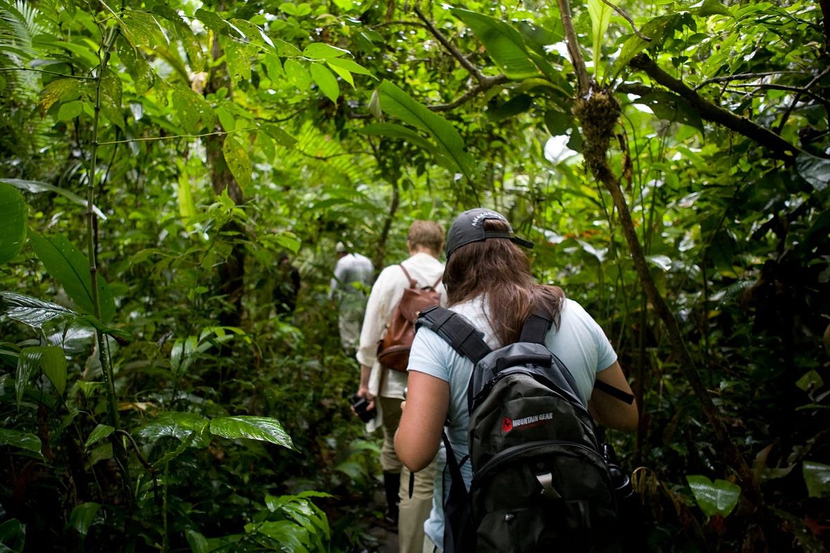 Into the Heart of the Amazon: A Journey of Fear and Wonder | by Explore ...