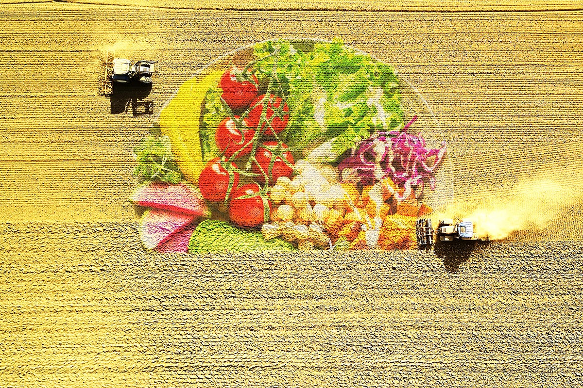 Are Vegans Actually ‘The Problem’? | by Food Climate Research Network ...